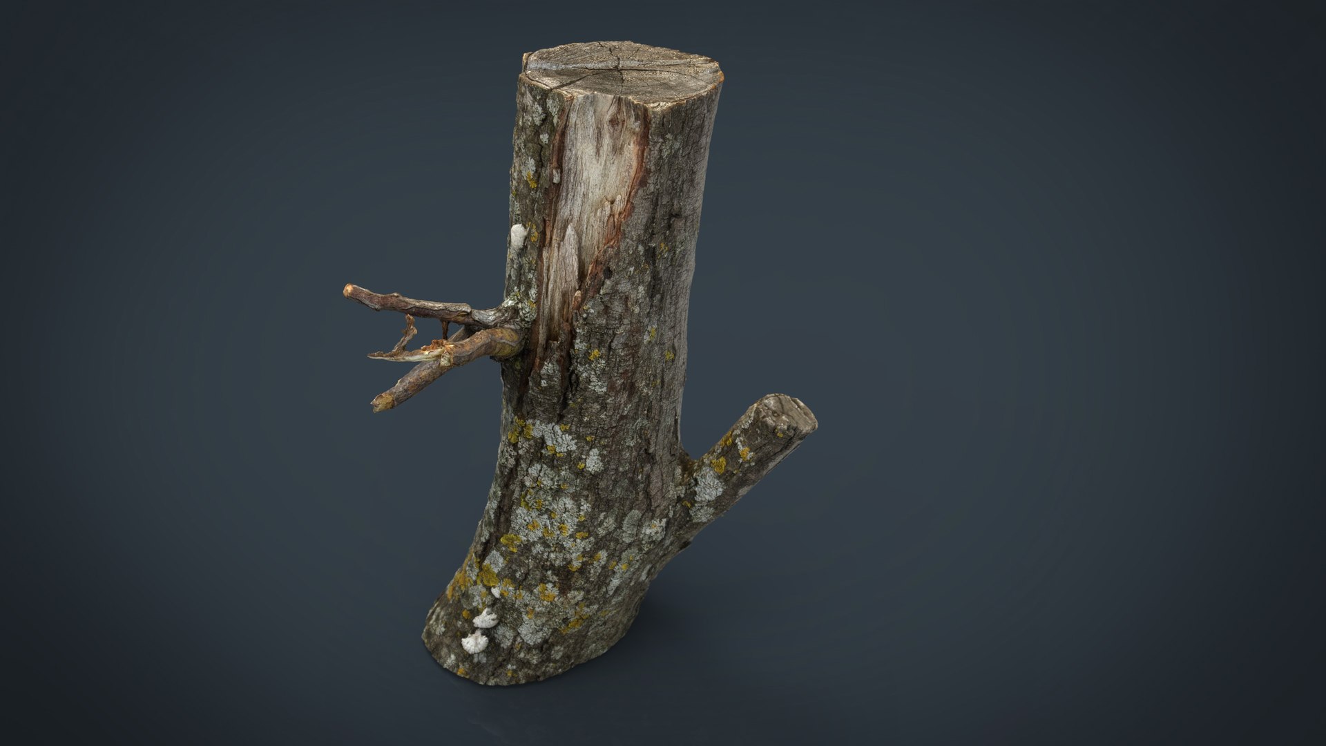 X Realistic Wood Log