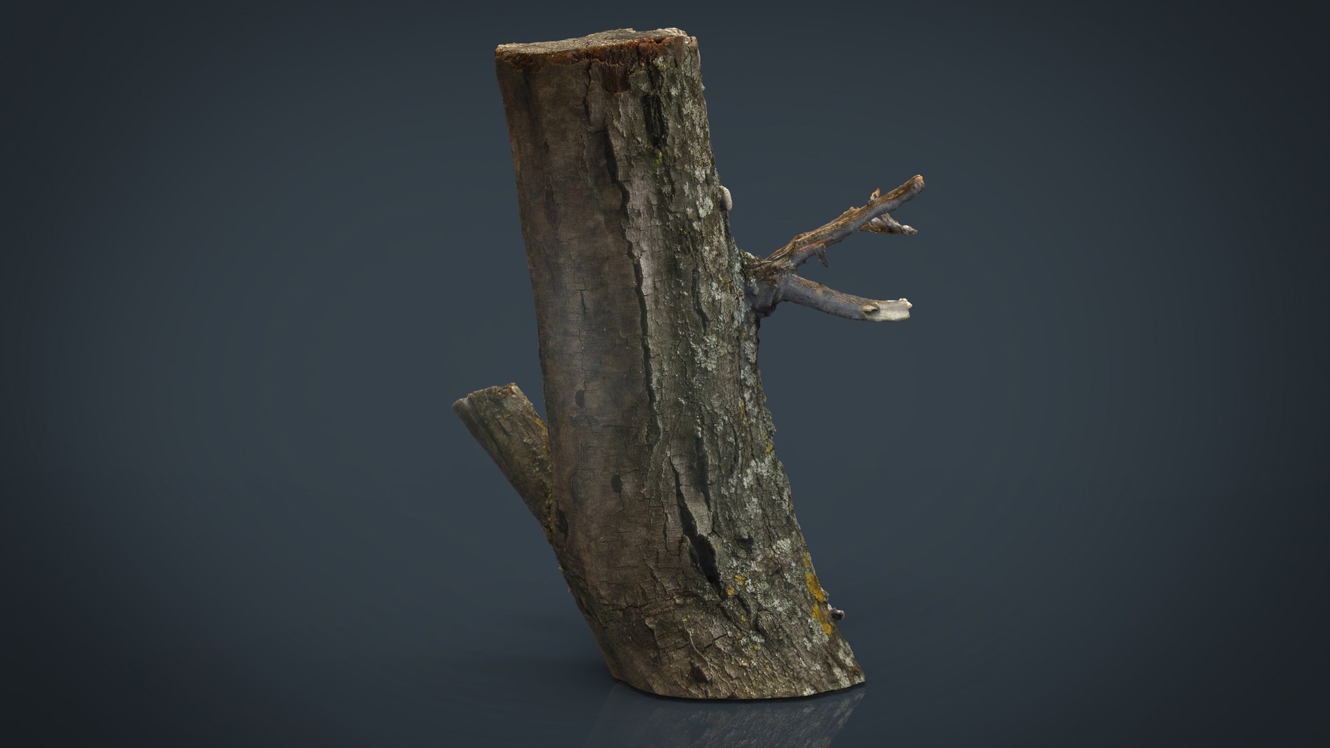 X Realistic Wood Log