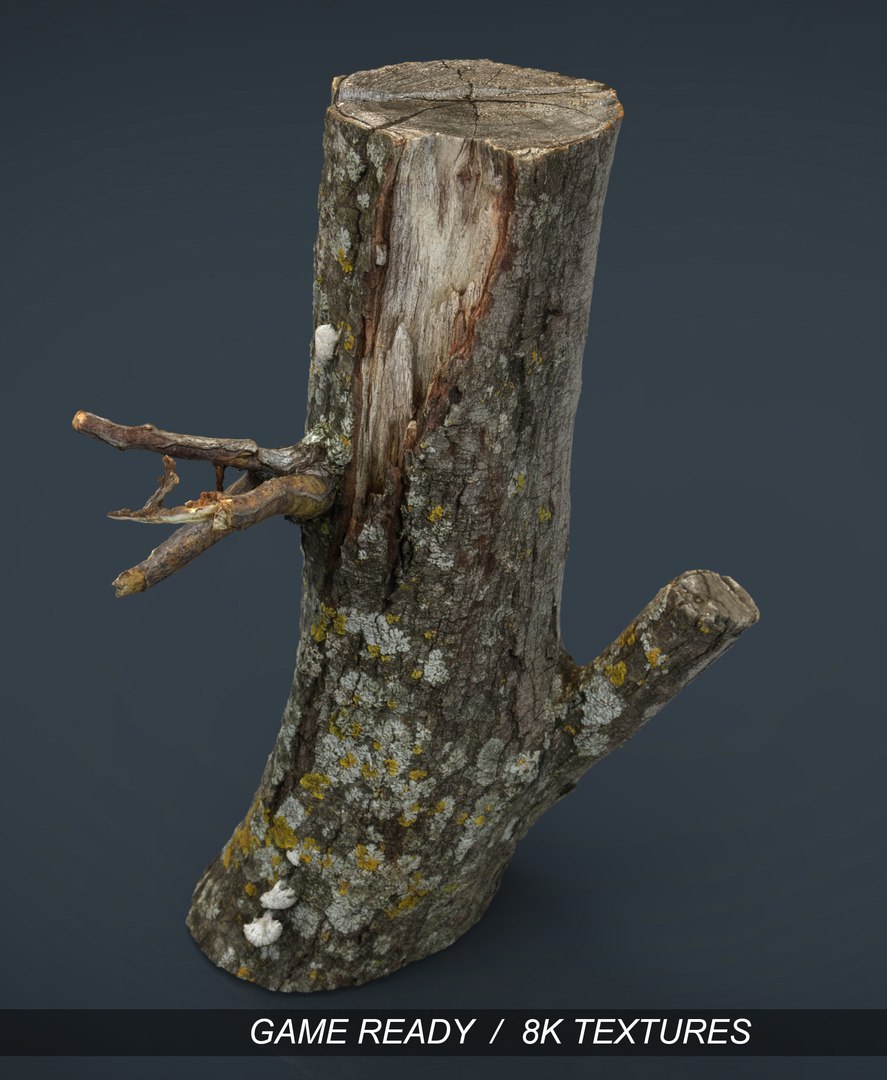X Realistic Wood Log