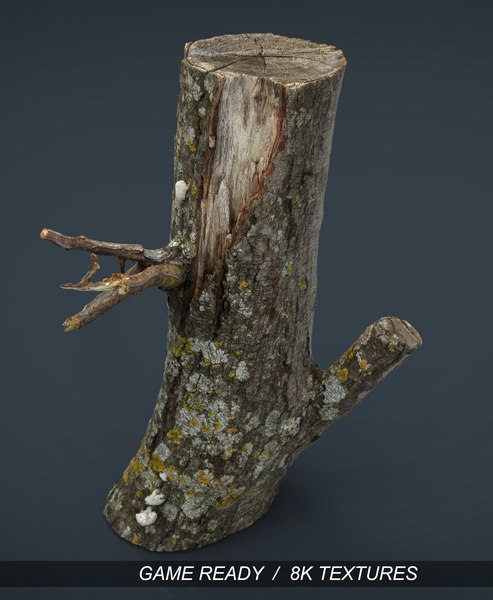 x realistic wood log