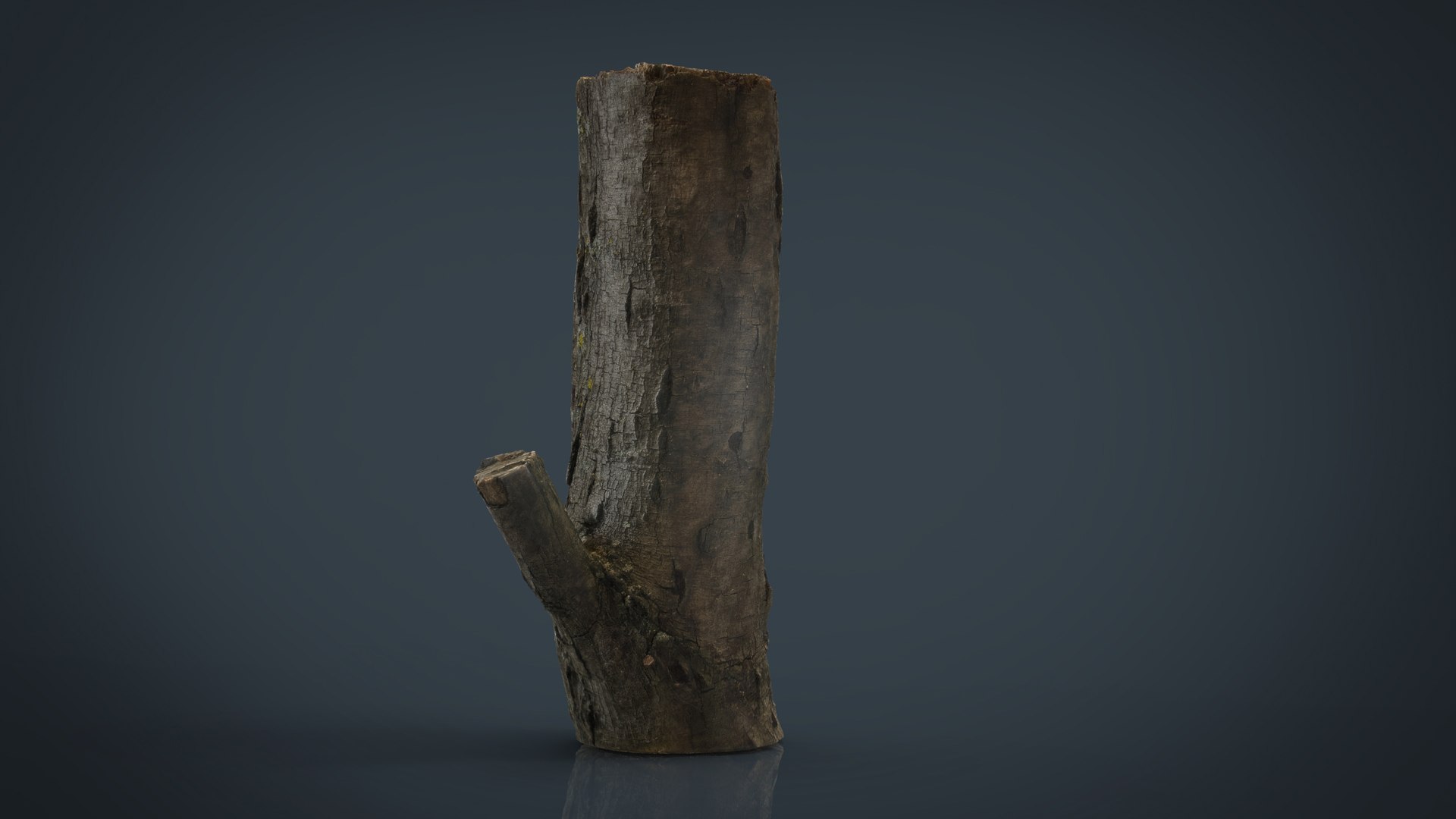 X Realistic Wood Log