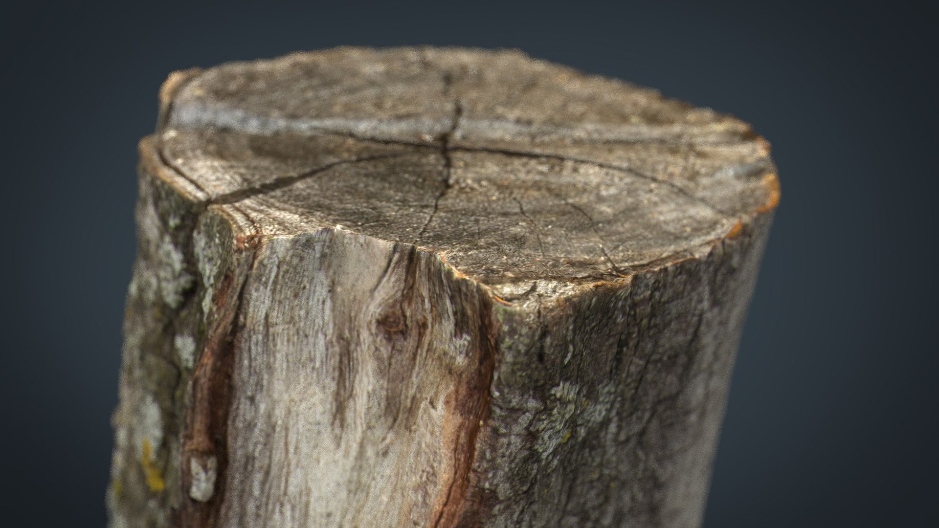 X Realistic Wood Log