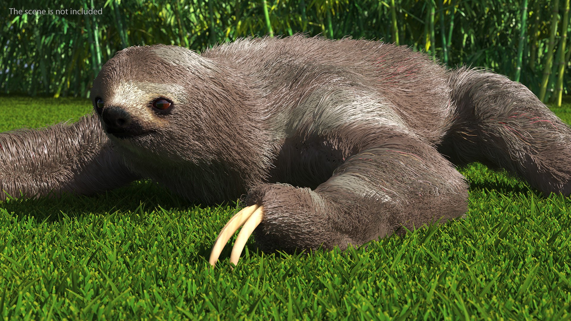 Sloth Crawls Fur 3D - TurboSquid 2178335