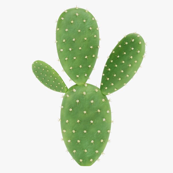 modelo 3d Opuntia - TurboSquid 2100928