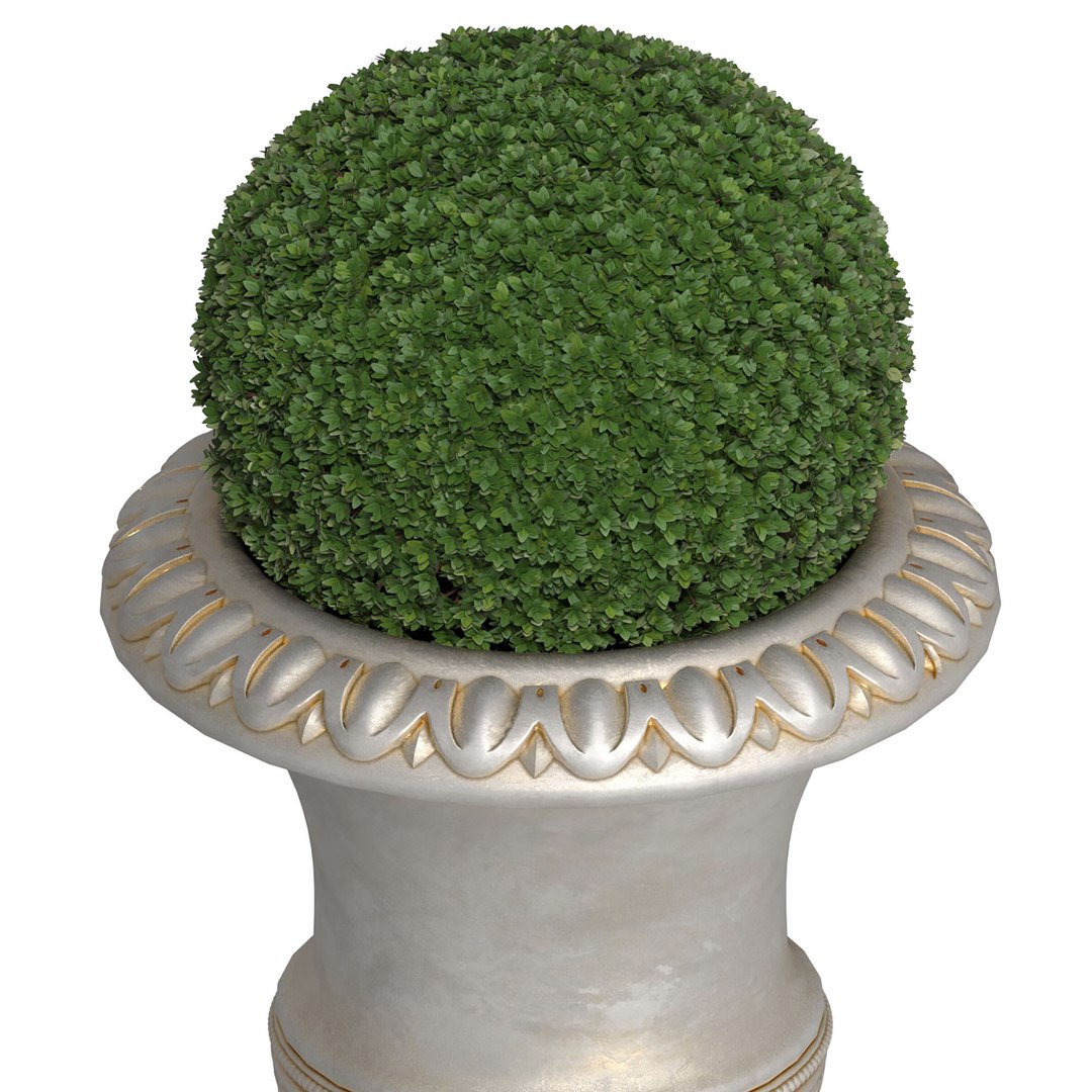Boxwood In A Classical Vase For Facade Decoration 3D Model - TurboSquid ...