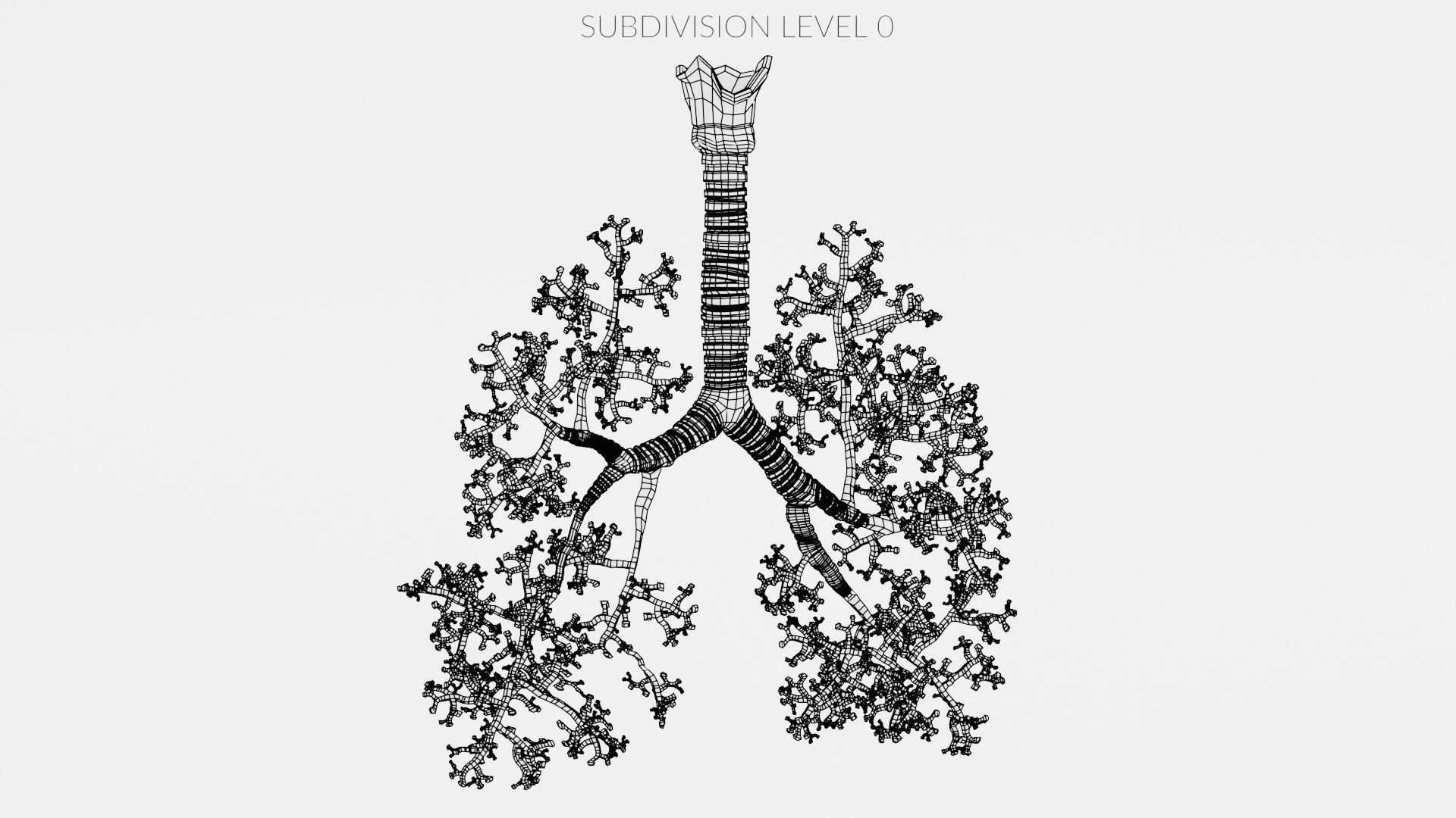 3D Trachea With Bronchi Model - TurboSquid 1839101