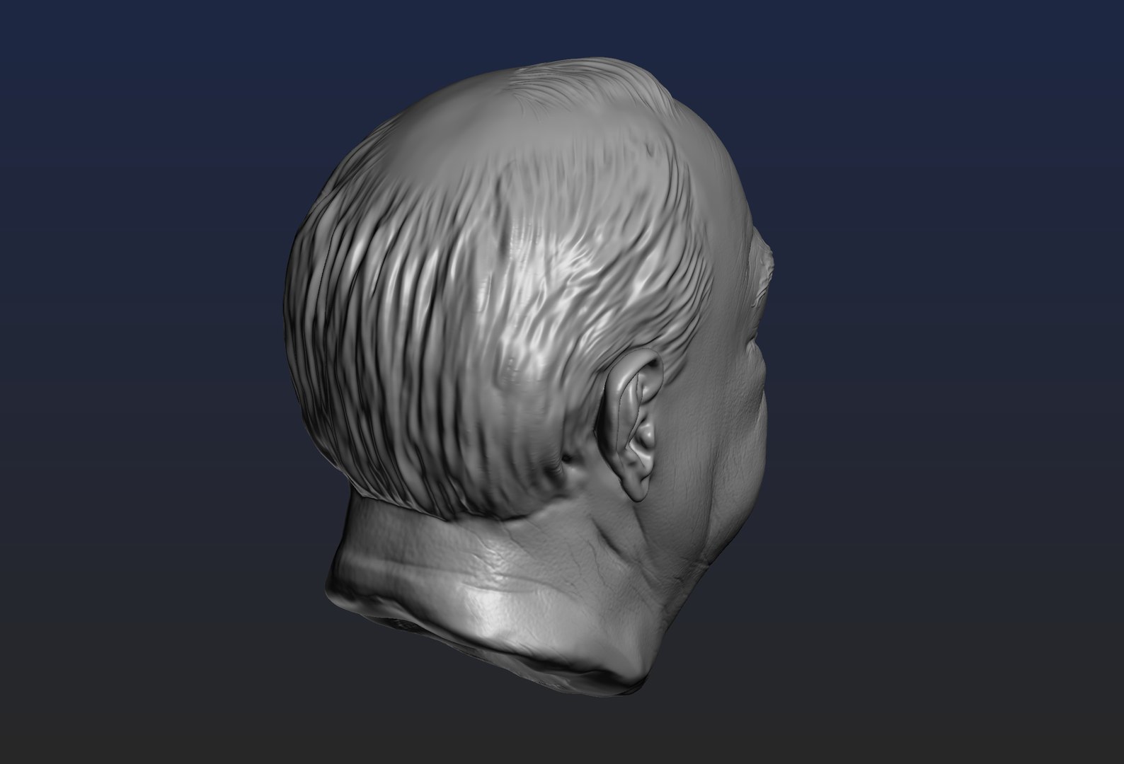 3D Model Churchill Head - TurboSquid 1876439