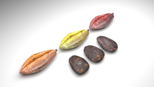 3D Cocoa Models | TurboSquid