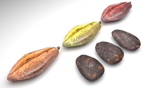 Cocoa Bean 3D Models for Download | TurboSquid