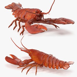 Rigged 3D Maya Ma Models For Download | TurboSquid