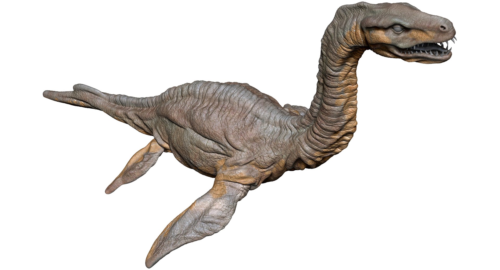 Loch Ness Monster 3d Model