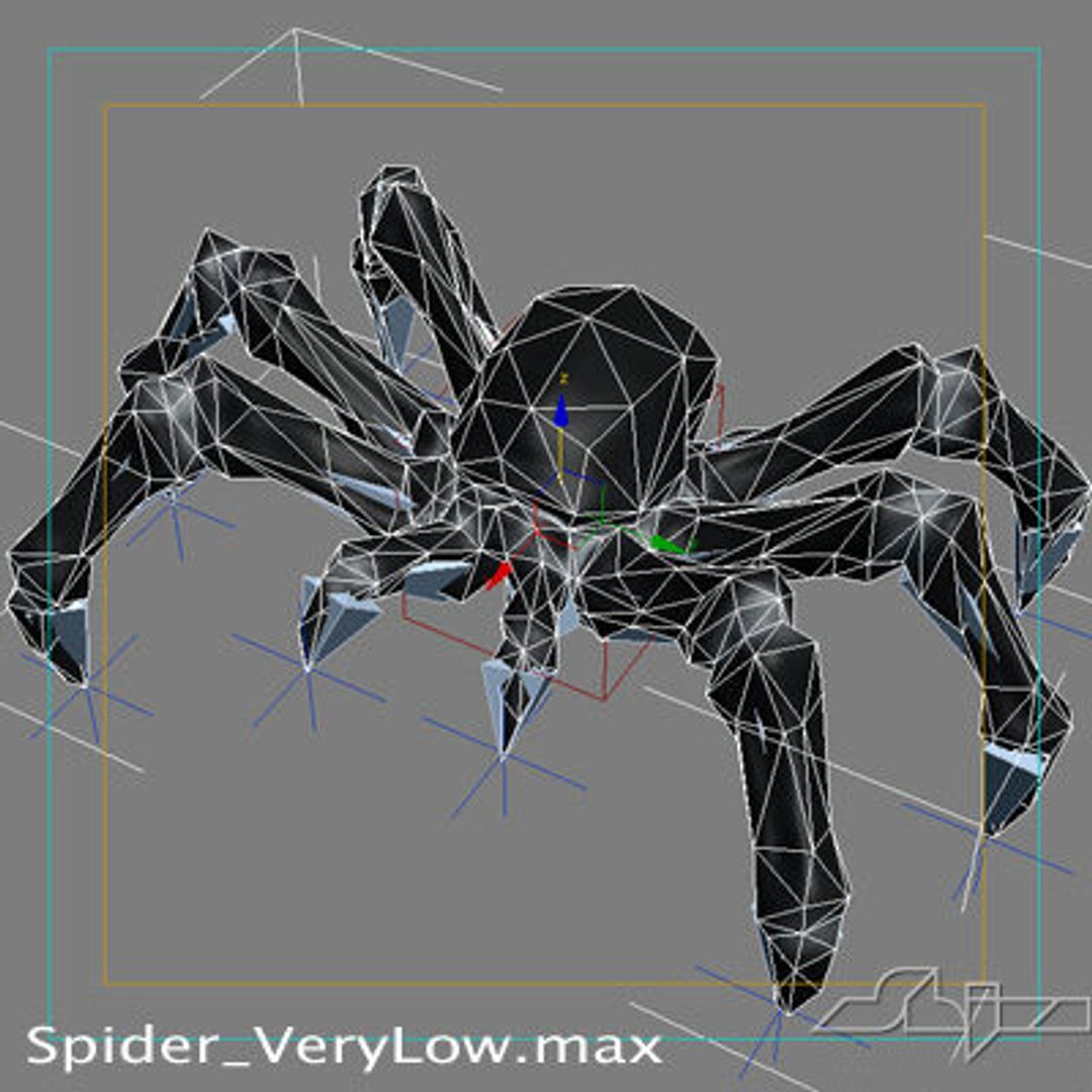 Spider Animation 3d Model