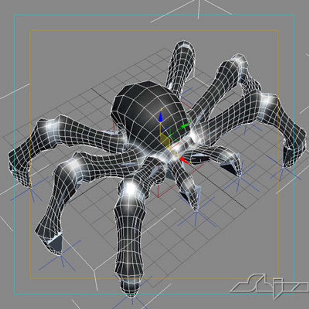 Spider Animation 3d Model
