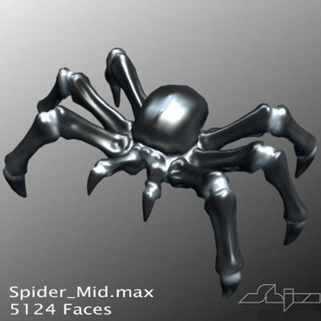 Spider Animation 3d Model