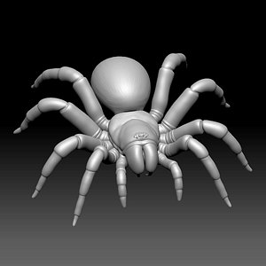 Invertebrate 3D Models for Download | TurboSquid