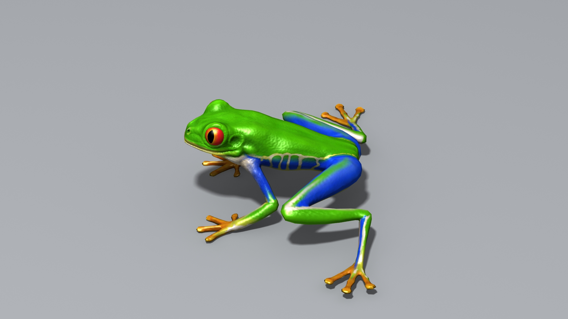 Redeyed TreeFrog 3D Model - TurboSquid 2188568
