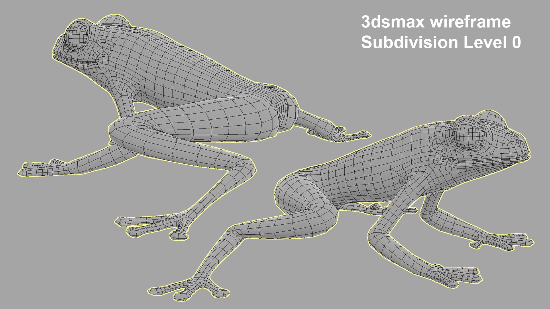 Redeyed TreeFrog 3D Model - TurboSquid 2188568
