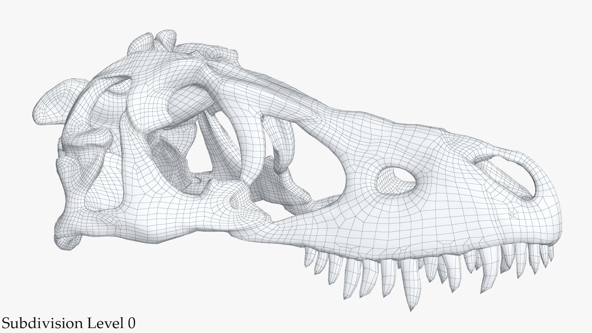 3D Dinosaur Skull 2 Model - TurboSquid 1448351