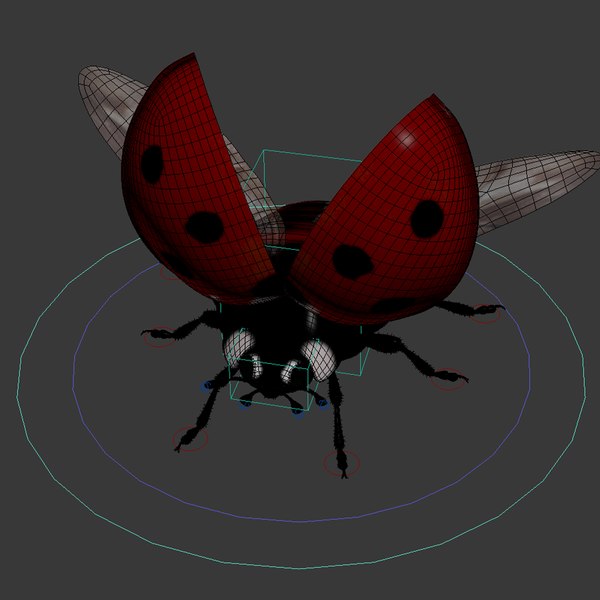 3d dugm05 ladybug