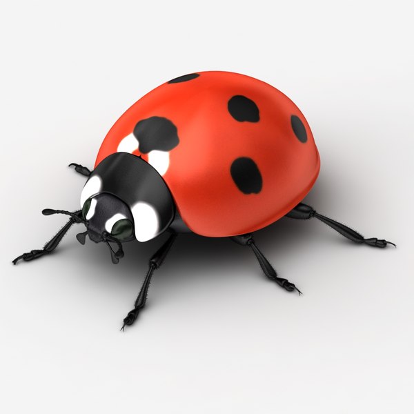 3d dugm05 ladybug