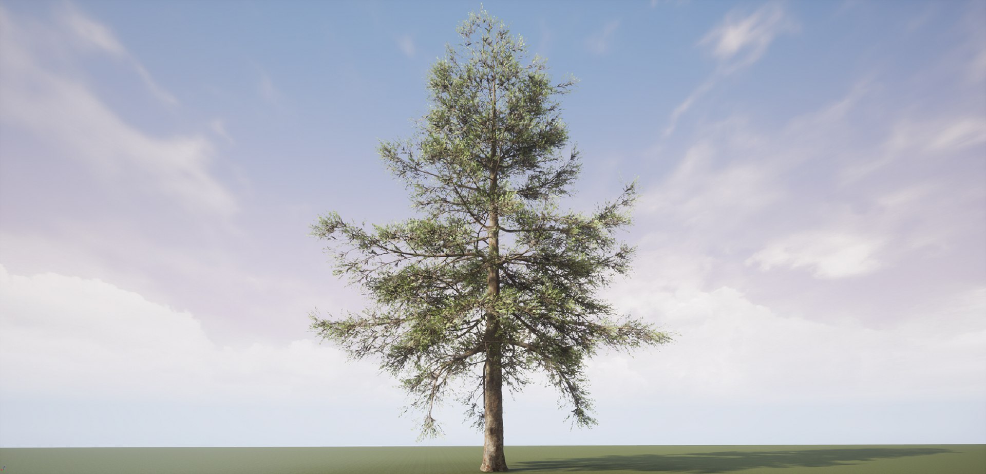 3D Conifer Tree 002 Model - TurboSquid 1747690