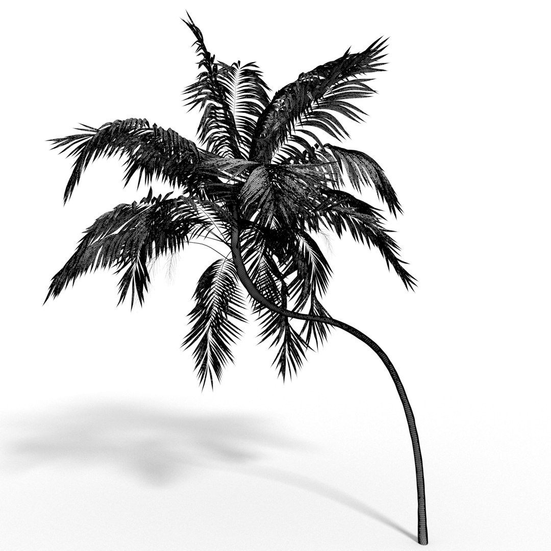 Palm 2 Model - TurboSquid 1222044