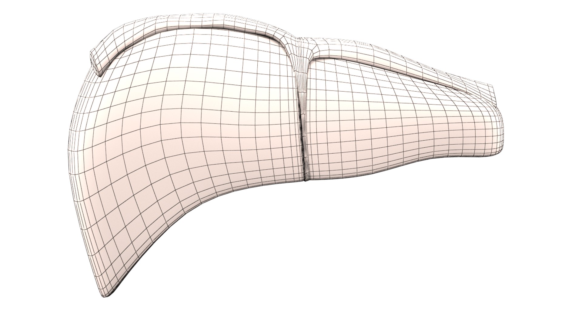 Realistic Liver Model - TurboSquid 1194559