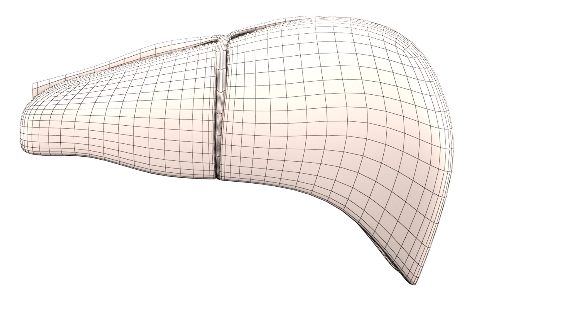 Realistic Liver Model - TurboSquid 1194559
