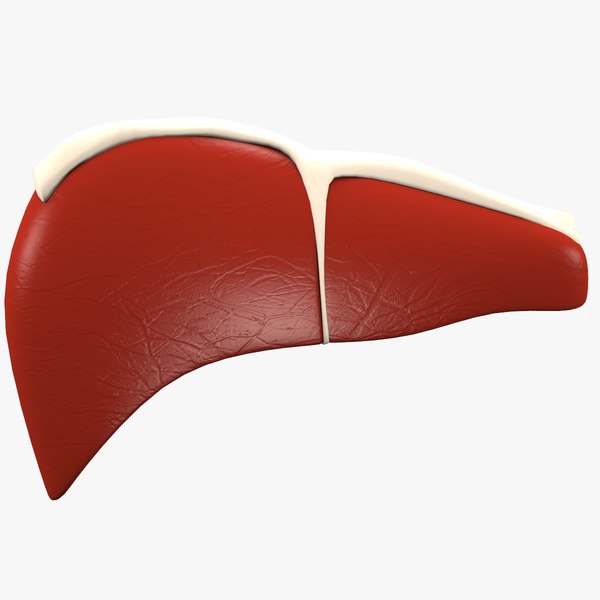 Realistic liver model - TurboSquid 1194559