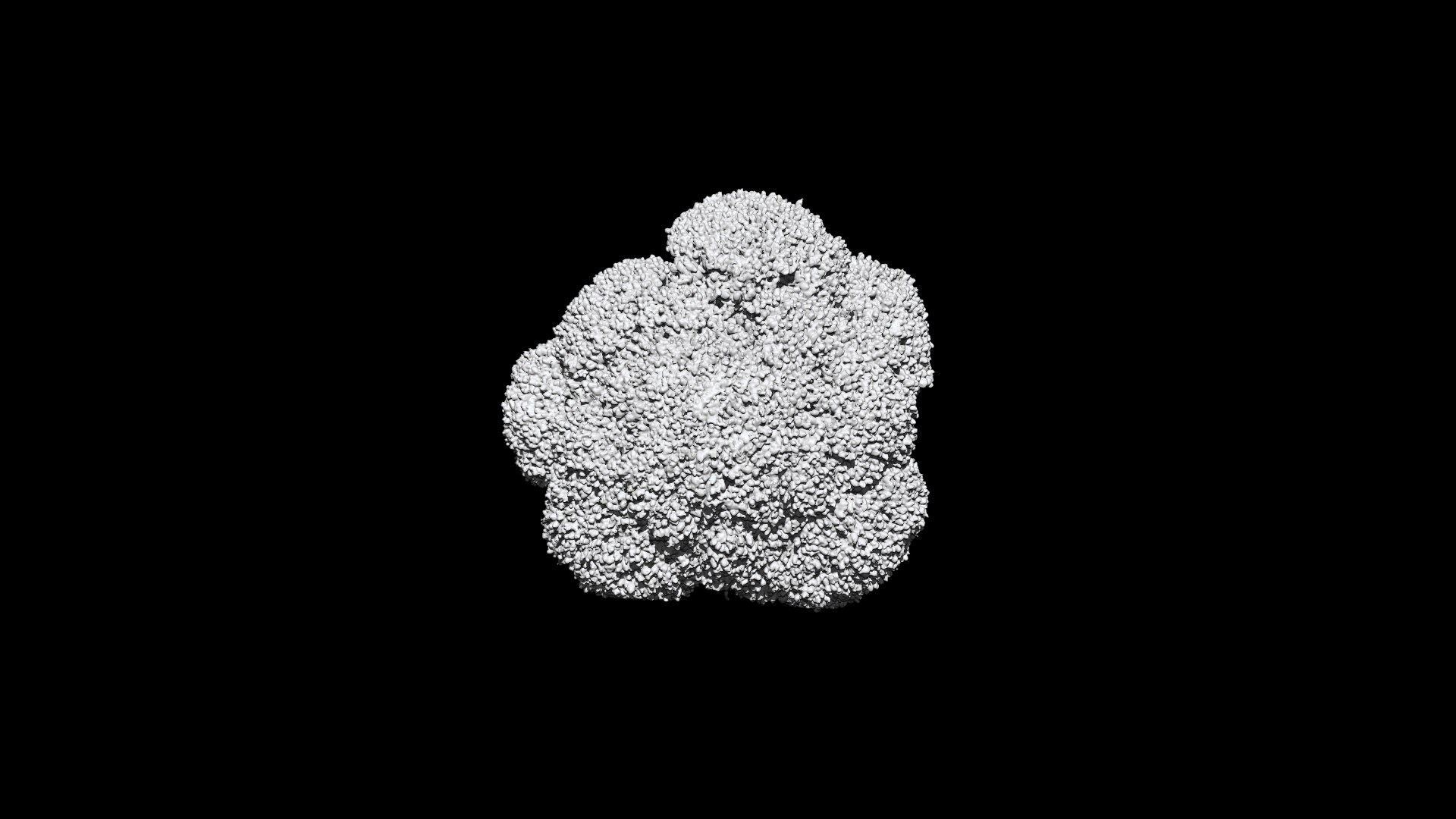 3D Broccoli 3D CT Scan Model - TurboSquid 1886395
