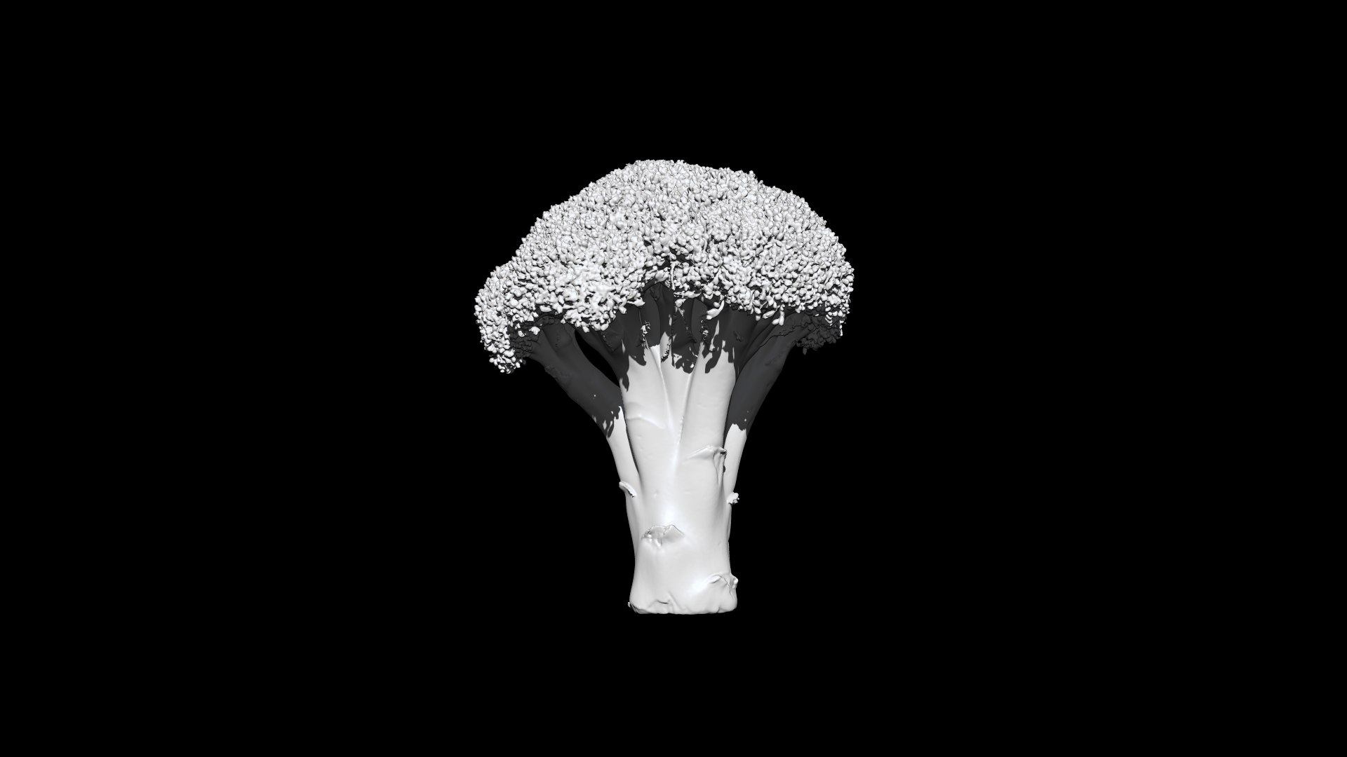 3D Broccoli 3D CT Scan Model - TurboSquid 1886395