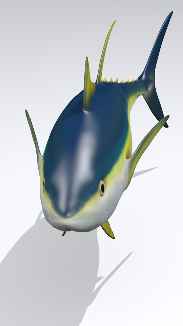 3d Model Of Beautiful Yellowfin Tuna Poses