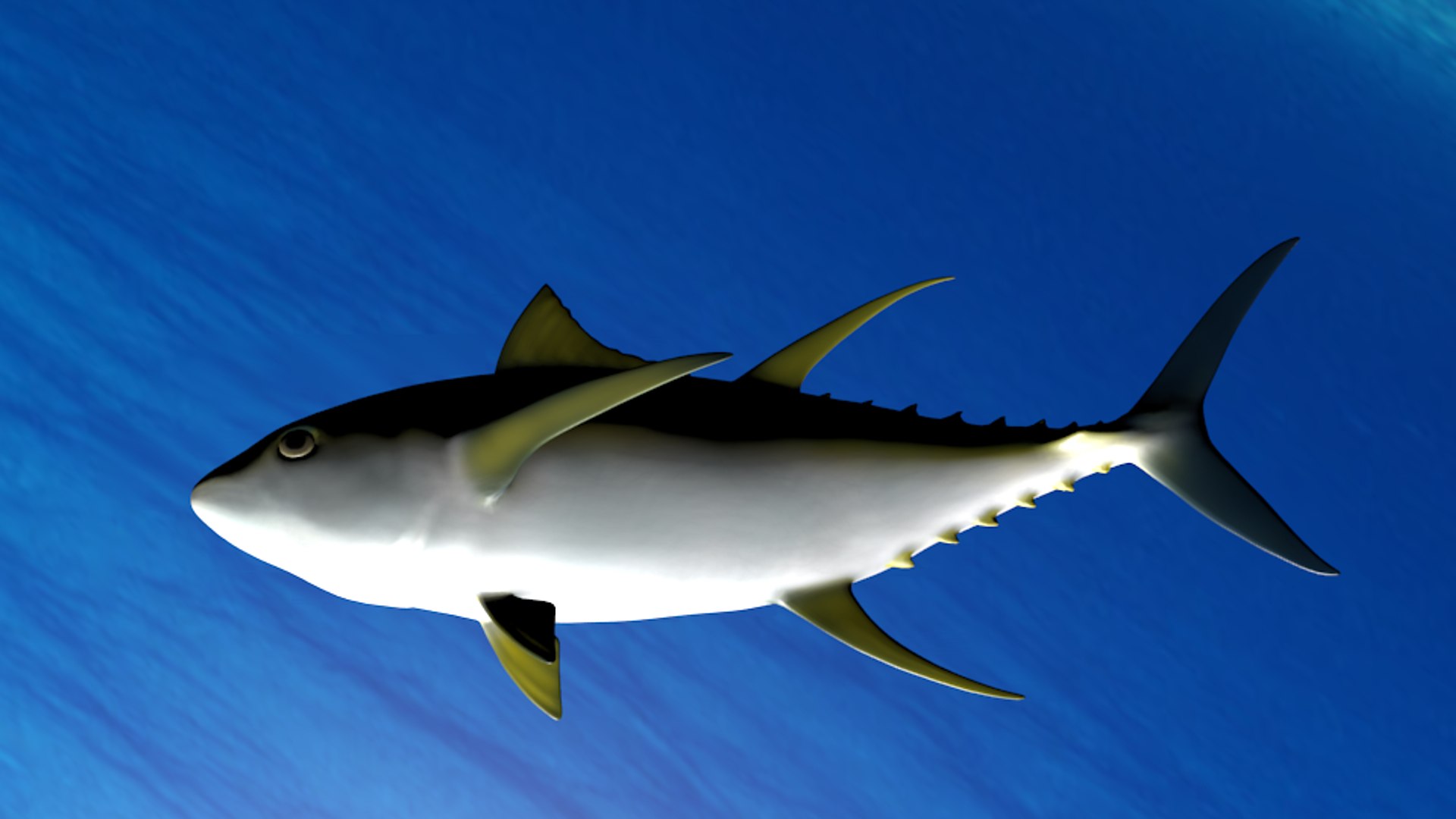 3d Model Of Beautiful Yellowfin Tuna Poses