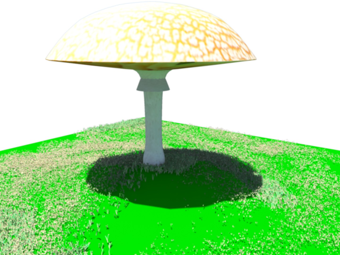Mushroom 3d Model