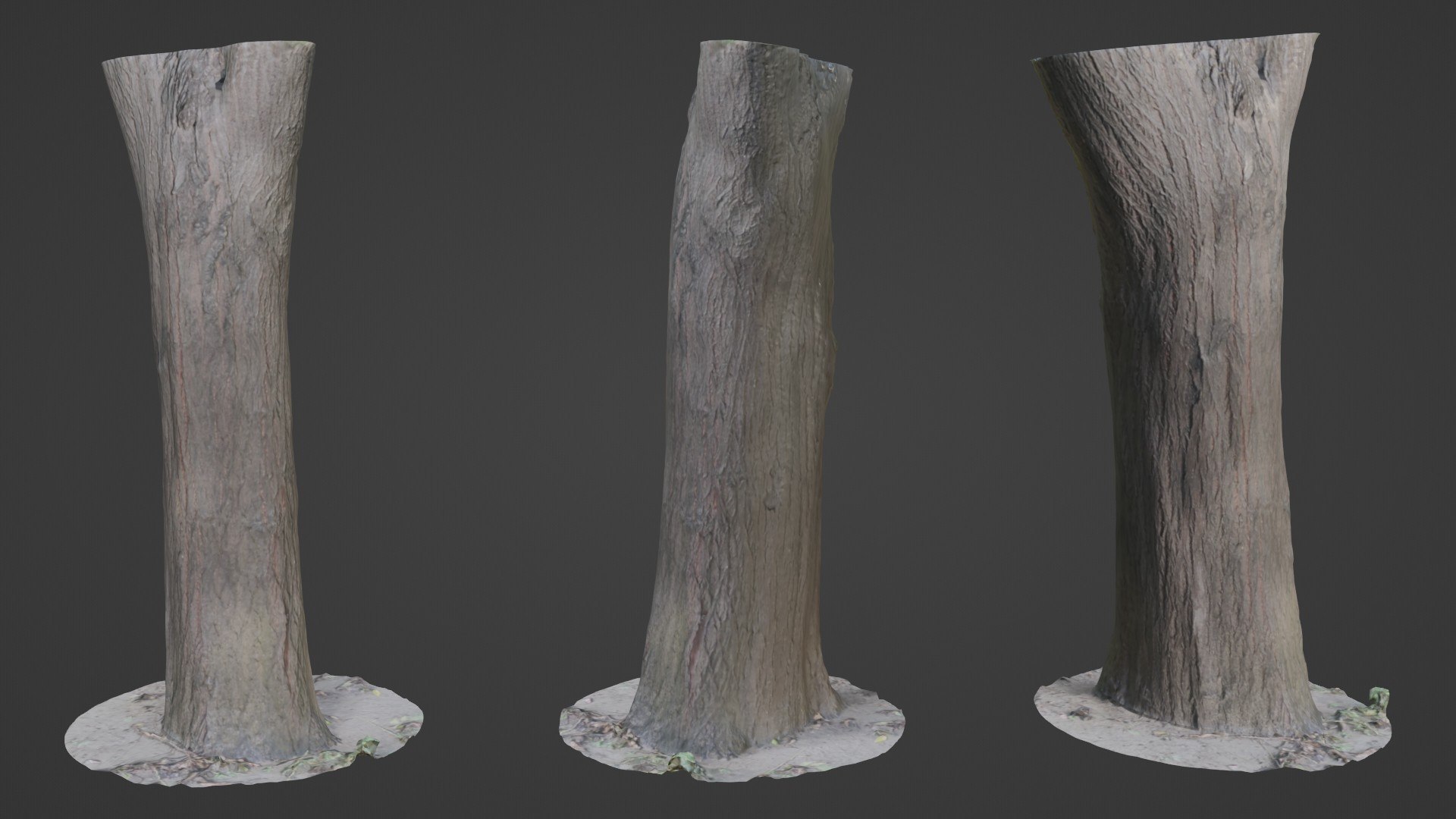 3D Tree Trunk Bark Scan Model - TurboSquid 2329654