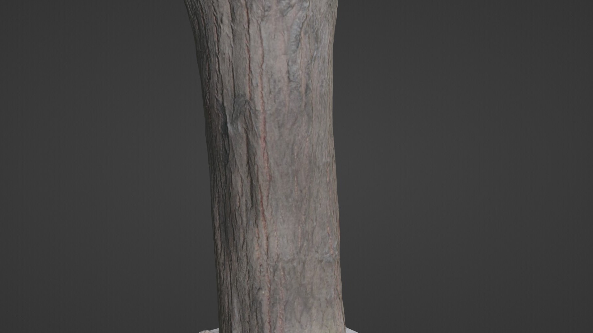 3D Tree Trunk Bark Scan Model - TurboSquid 2329654