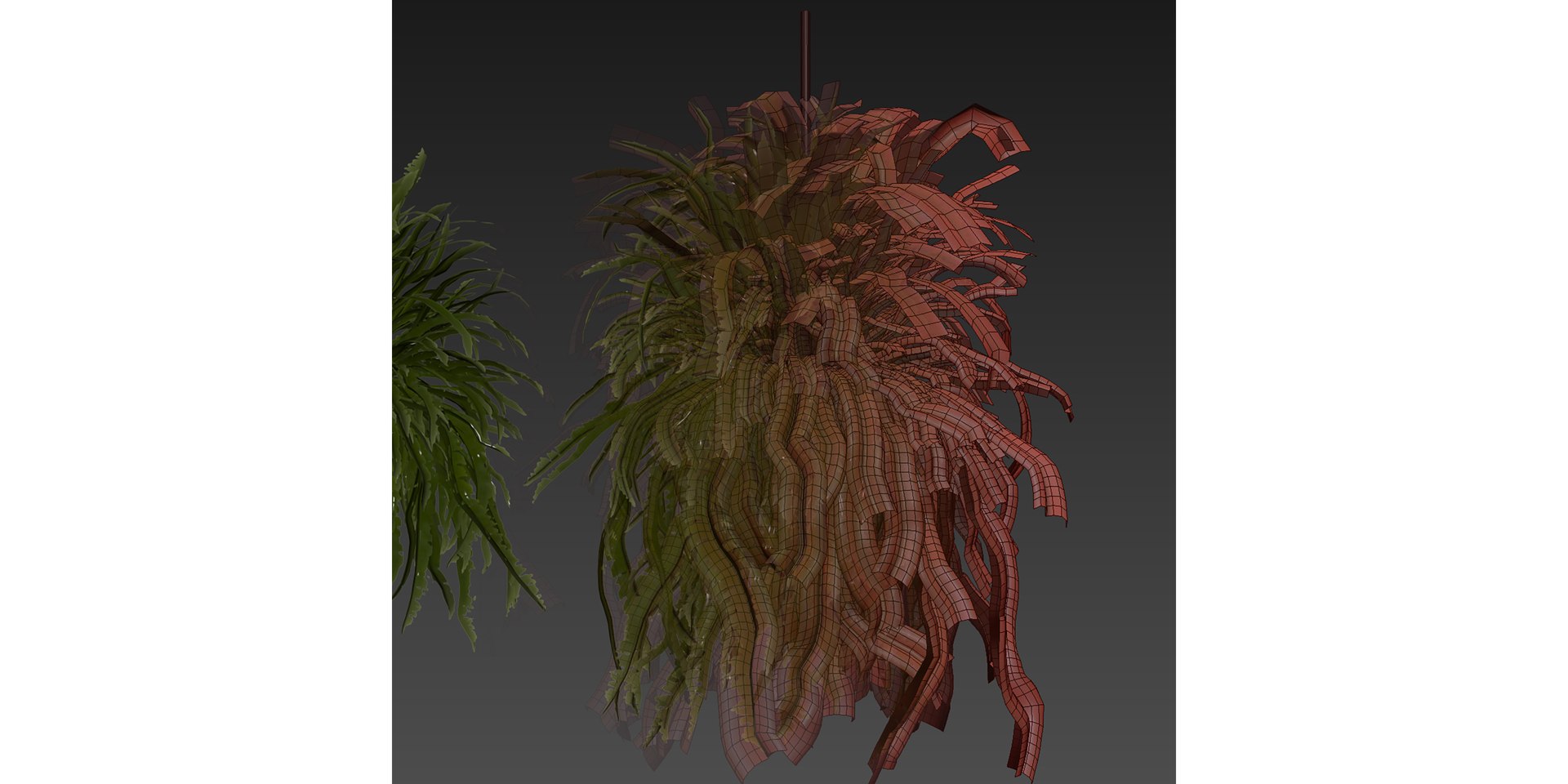 3D Collection Plant Vol 590 - Fern - Lady - Hanging - Blender ...