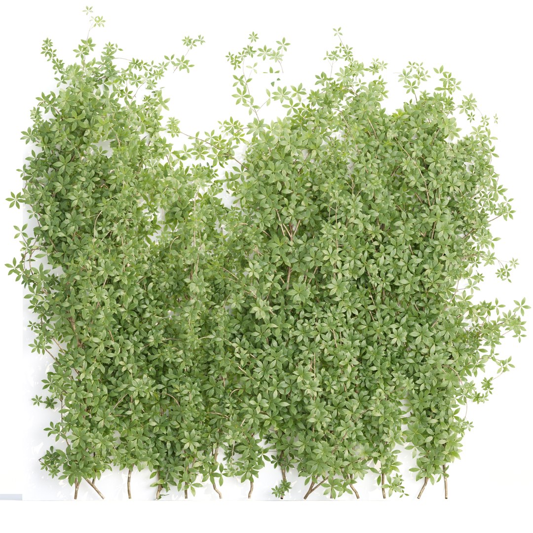 Creeper Plants Vol 100-Blender-3dmodel 3D Model - TurboSquid 2231884