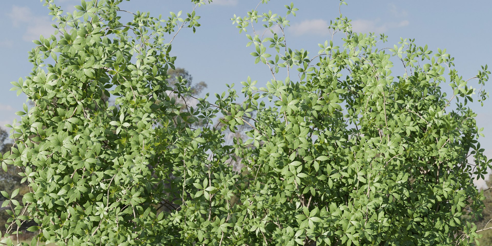 Creeper Plants Vol 100-Blender-3dmodel 3D Model - TurboSquid 2231884