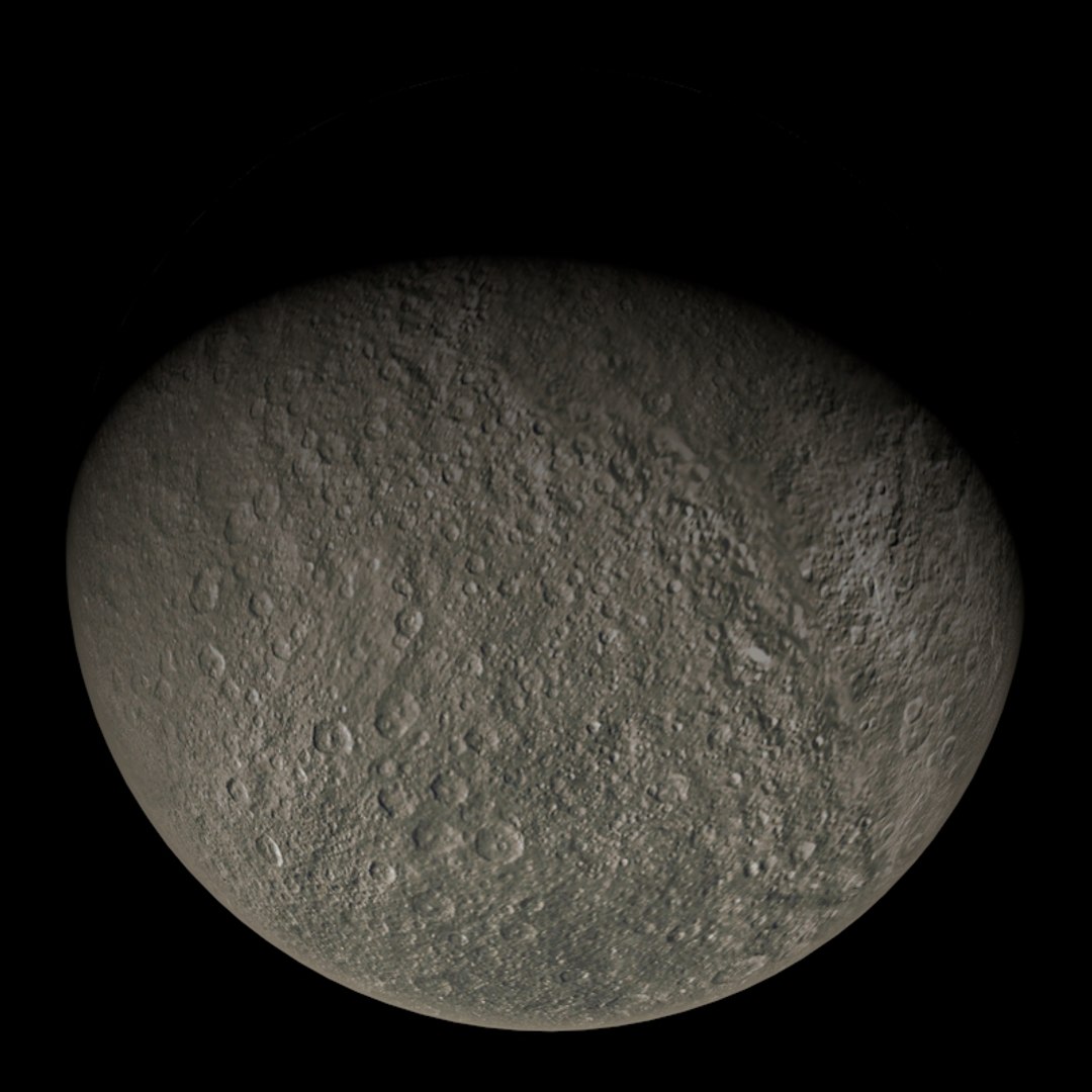 3d model photorealistic rhea