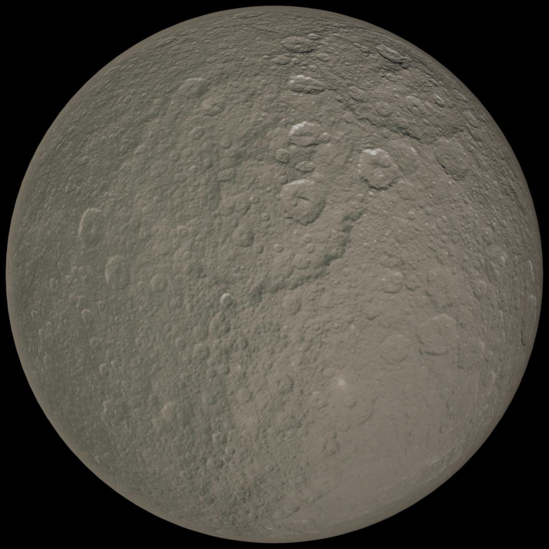 3d model photorealistic rhea