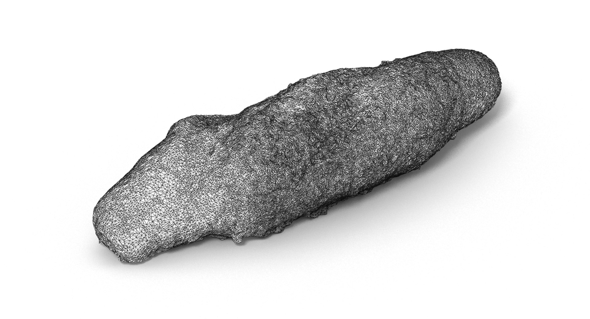 3d model of bun scan realistic