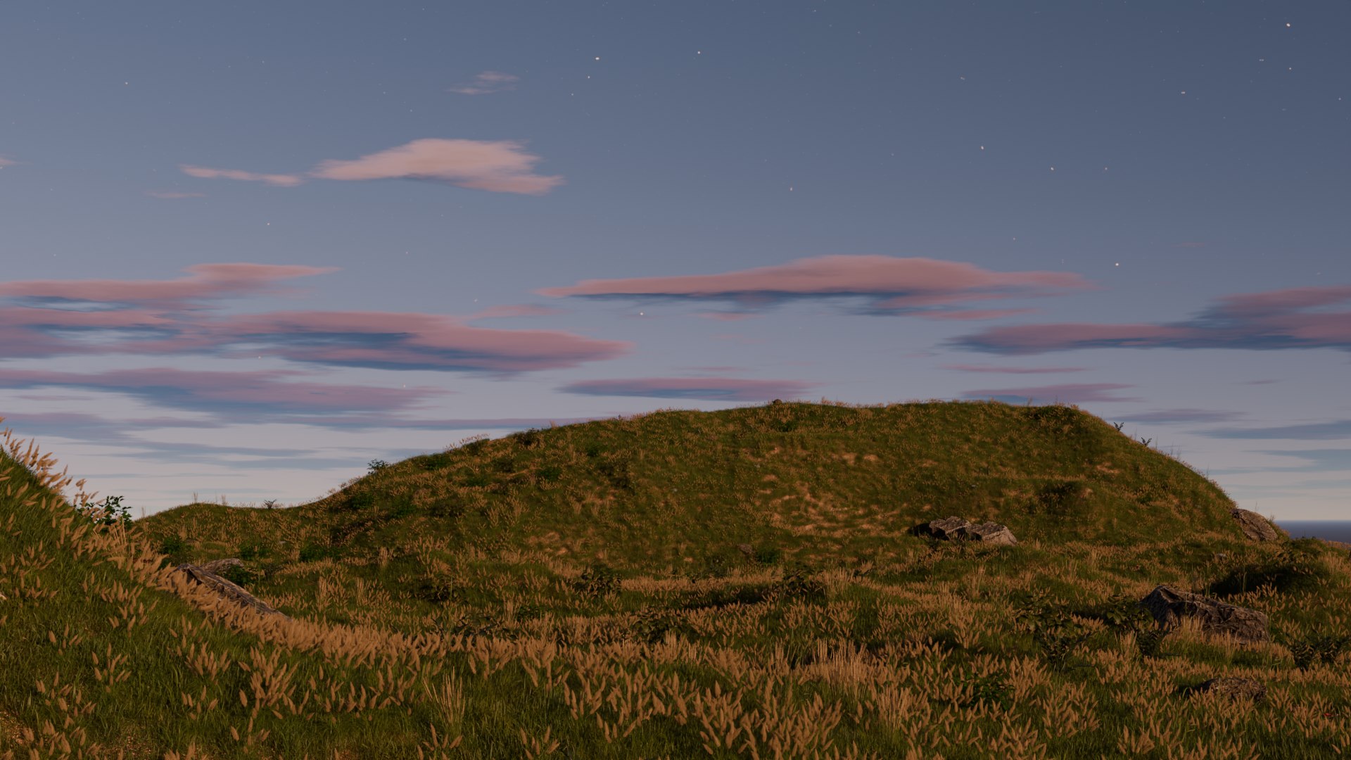 Free Field 3D Model - TurboSquid 2192508