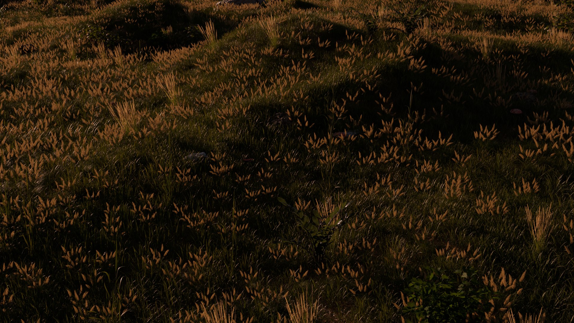 Free Field 3D Model - TurboSquid 2192508