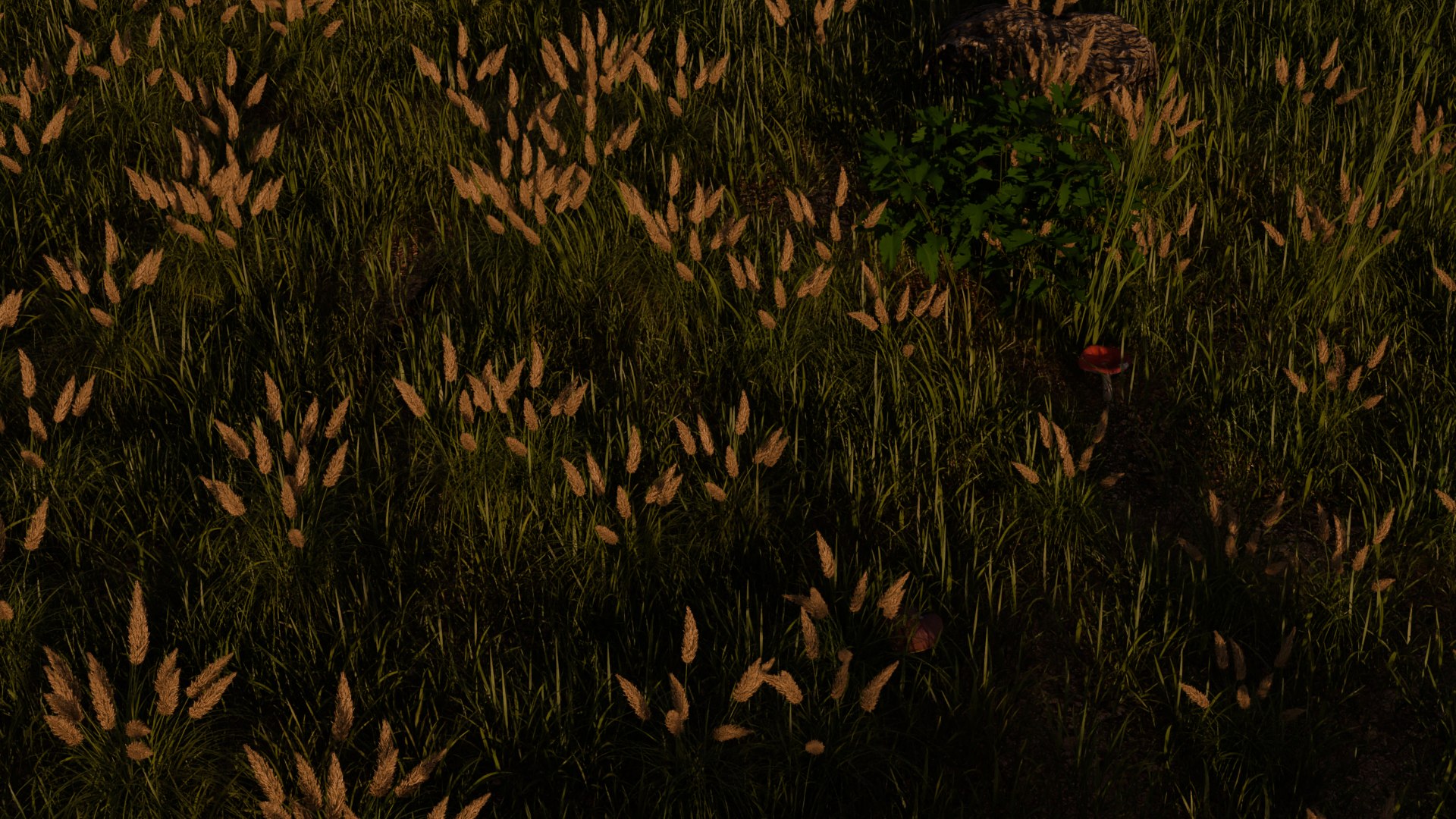 Free Field 3D Model - TurboSquid 2192508