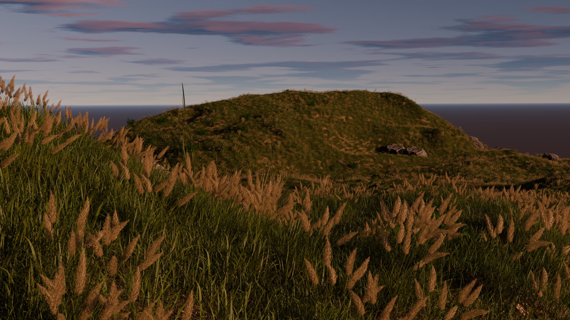 Free Field 3D Model - TurboSquid 2192508