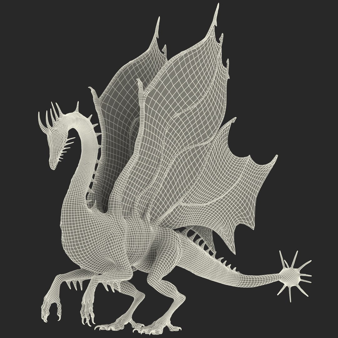 3d Dragon Modelled
