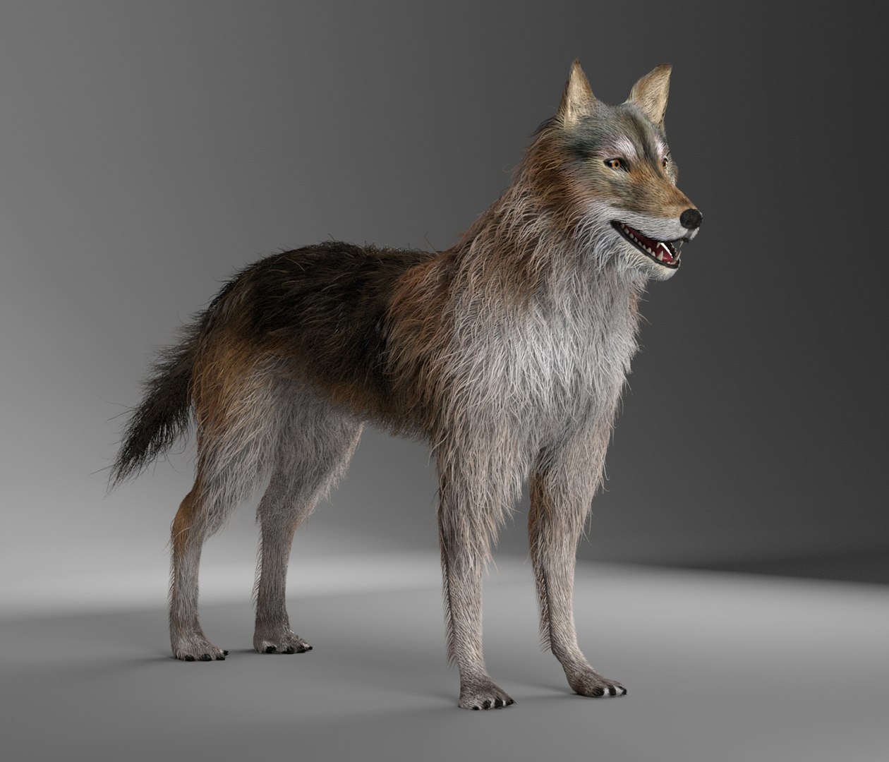 Wolf Fur 3D - TurboSquid 1650992