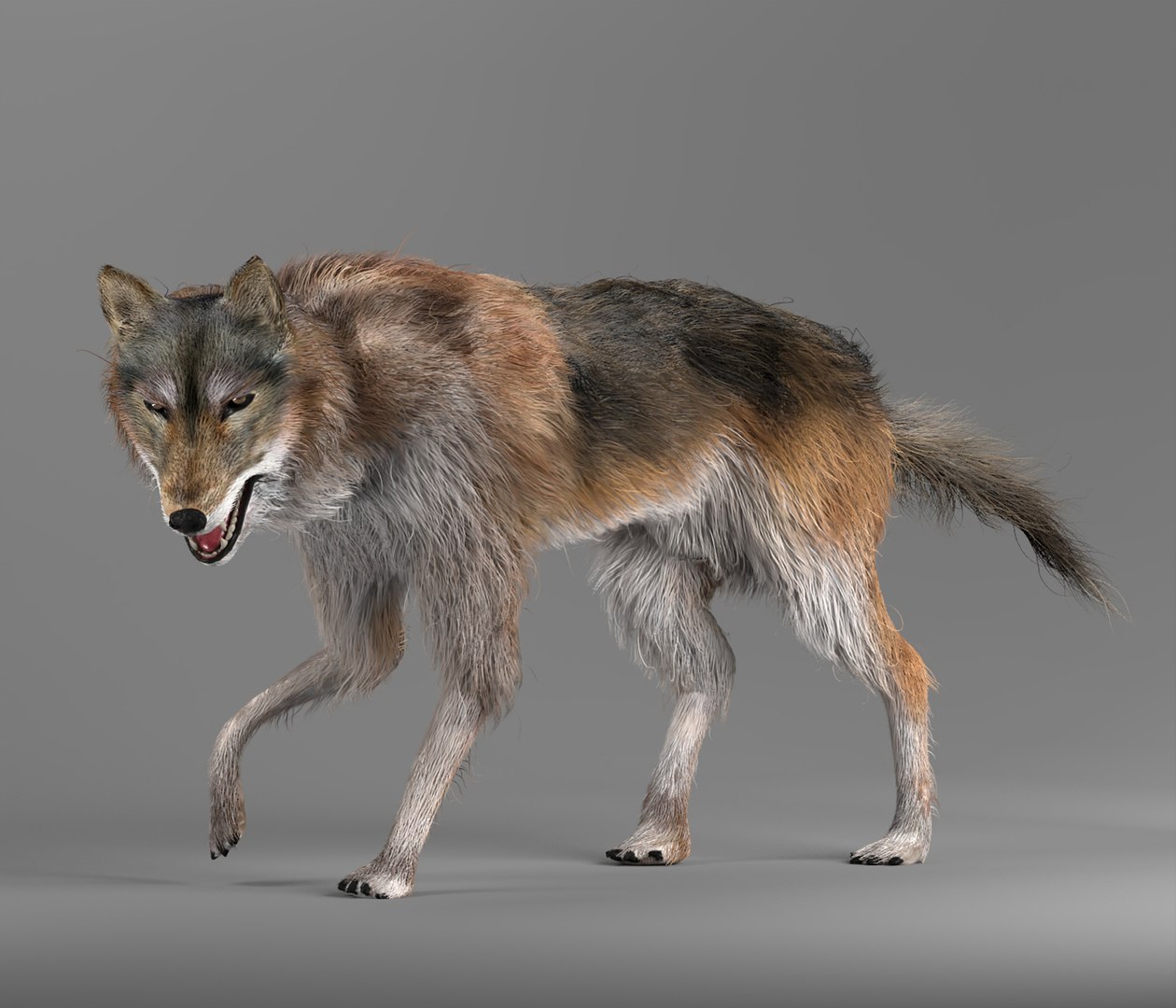 Wolf Fur 3D - TurboSquid 1650992