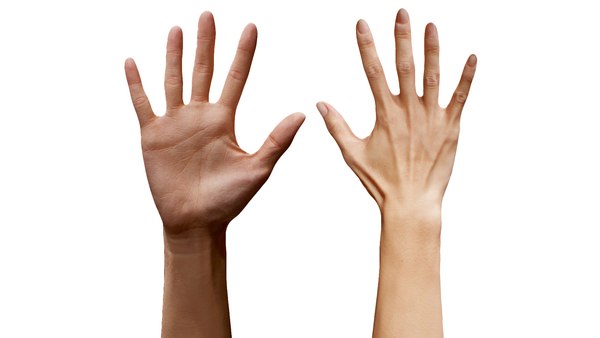 modelo 3d Escaneo de mano retopologizado 3D Ishikawa Sayoko ...